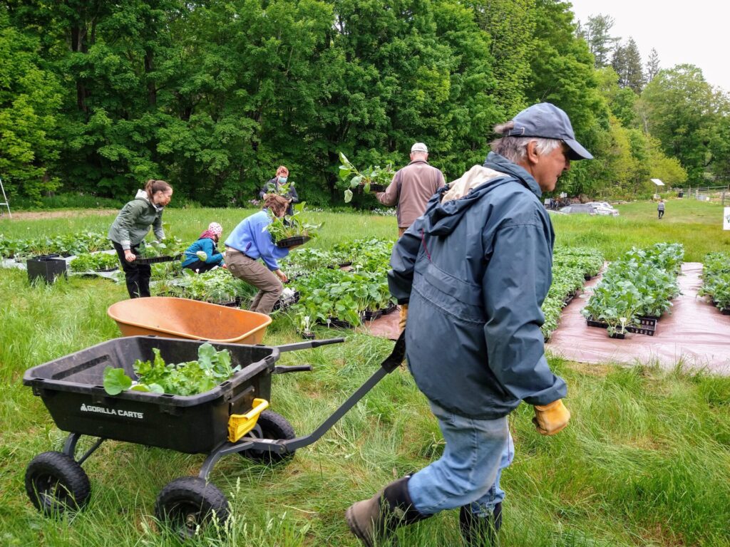 Community Gardens - Sustainable Woodstock